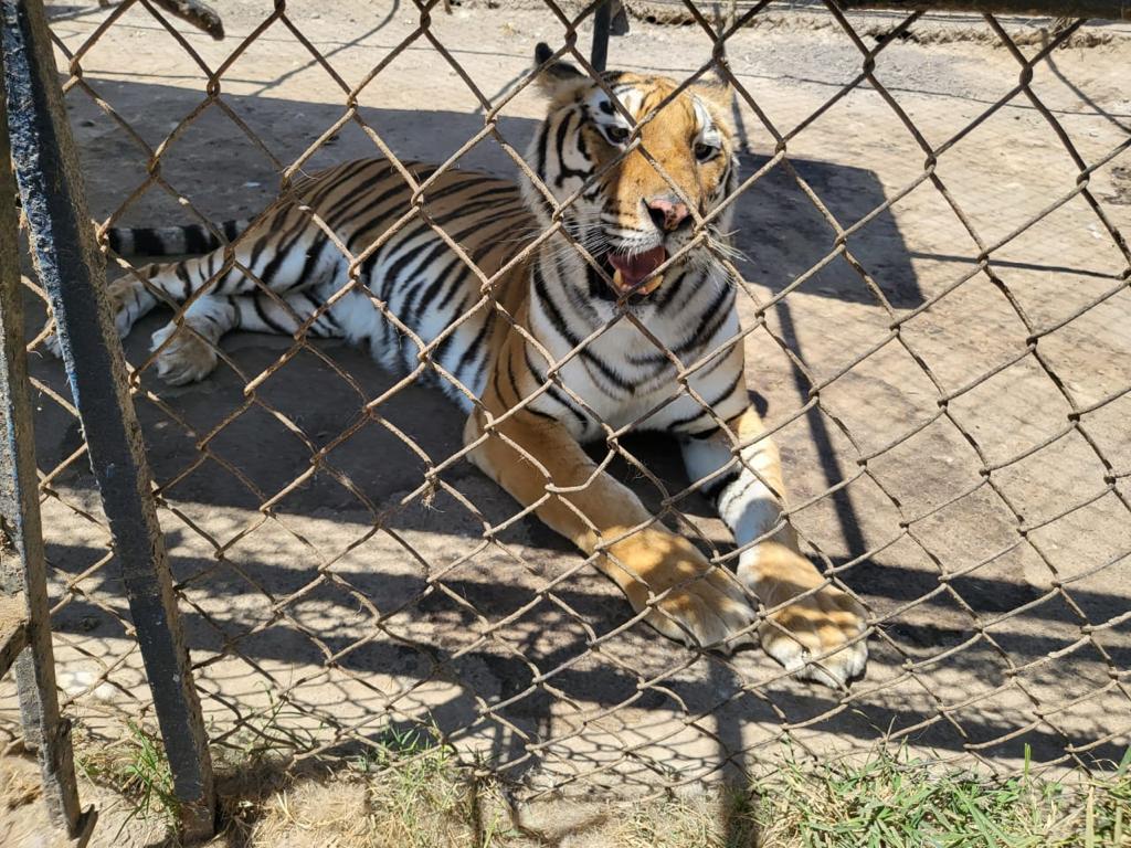 FGR obtiene vinculación a proceso en contra de dos personas por un ...
