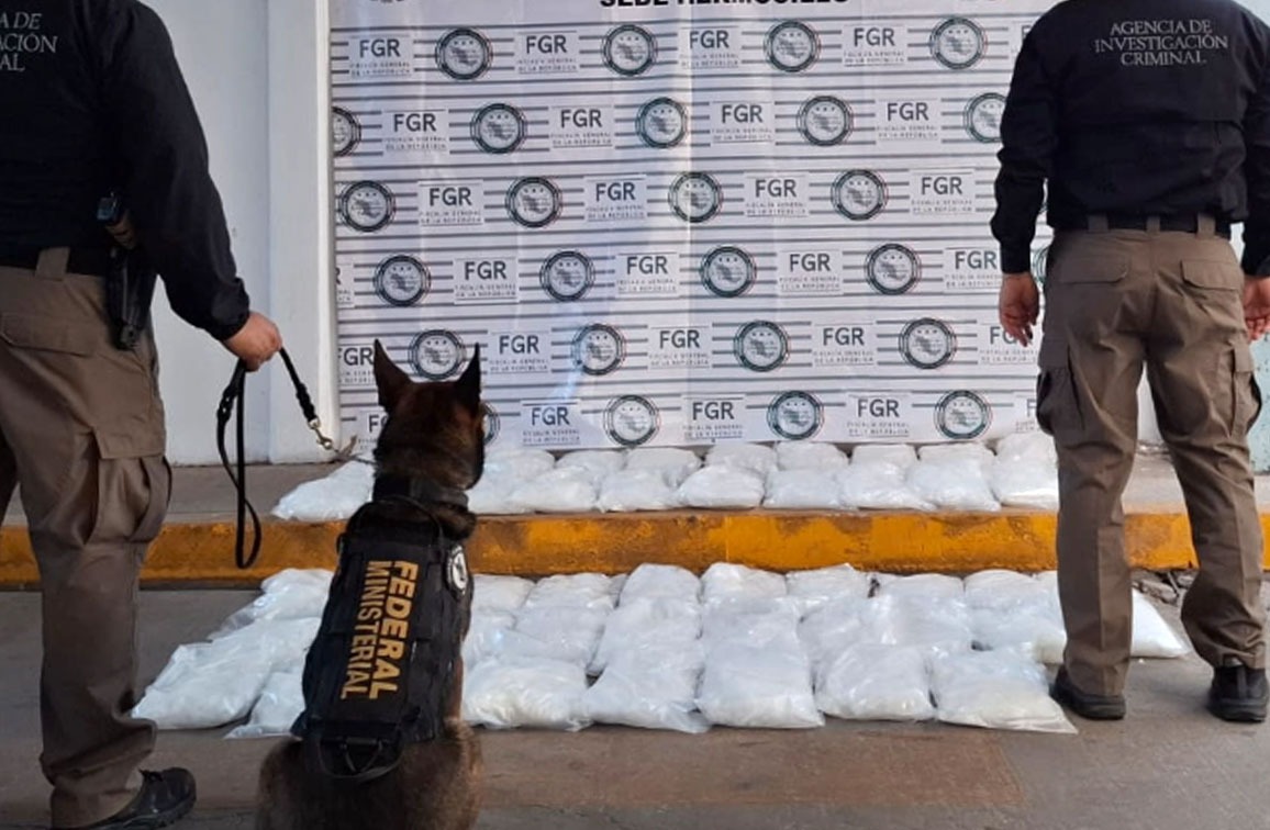 FGR realizó 95 cateos y 56 aseguramientos en la zona Noroeste durante ...